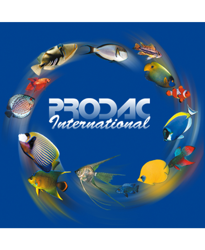 Online Pet Shop - Τα πάντα για τα κατοικίδια σας - Pet Wild Store