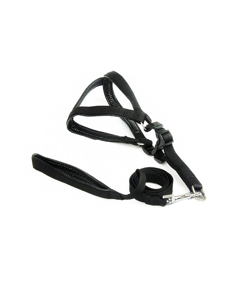 ΛΟΥΡΙ ΣΚΥΛΟΥ ΙΜΑΝΤΑΣ ΜΕ ΣΤΗΘΟΛΟΥΡΟ NEOPRENE LARGE ΜΑΥΡΟ 120cm ΙΜΑΝΤΑ 40 ...